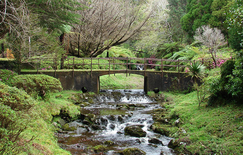 Natureza – Explore São Jorge
